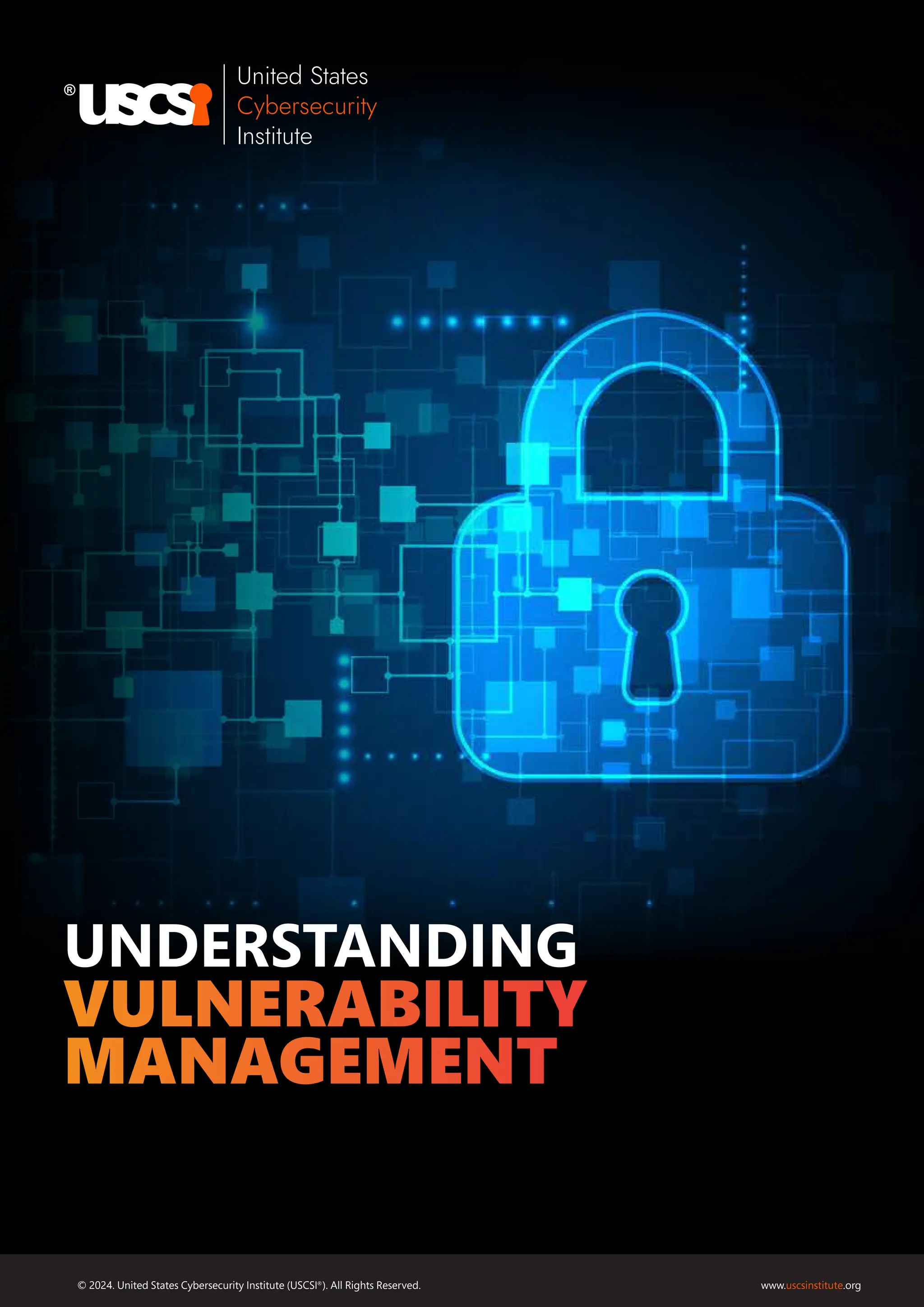 Understanding Vulnerability Management | USCSI® | PDF | Free Download