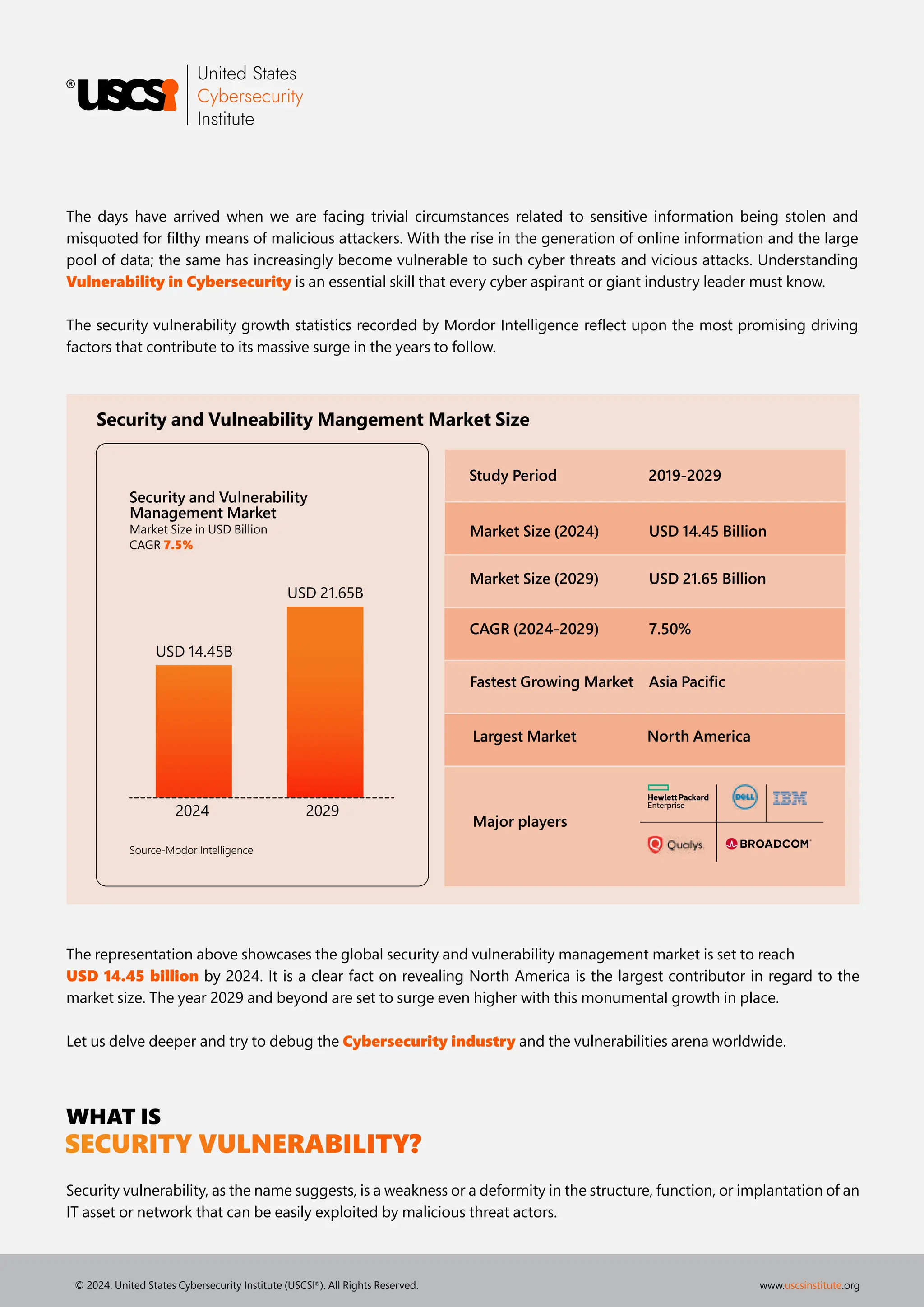 Understanding Vulnerability Management | USCSI® | PDF