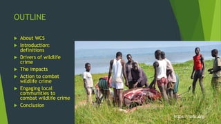 Understanding Wildlife Crime in uganda by Geoffrey Mwedde, Project Manager IWT at WCS Uganda | PPT