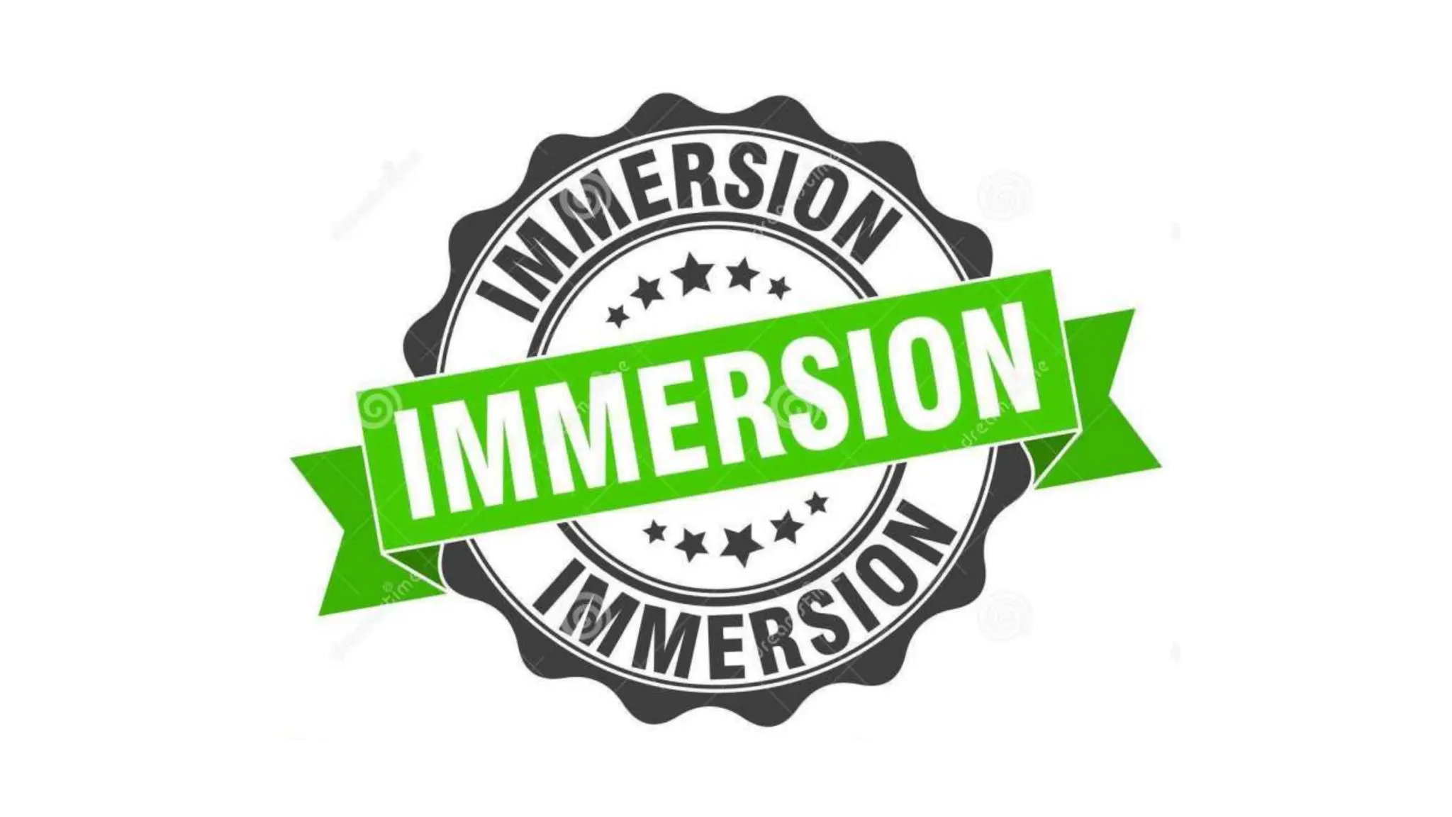 UNDERSTANDING WORK IMMERSION - T1.pptx