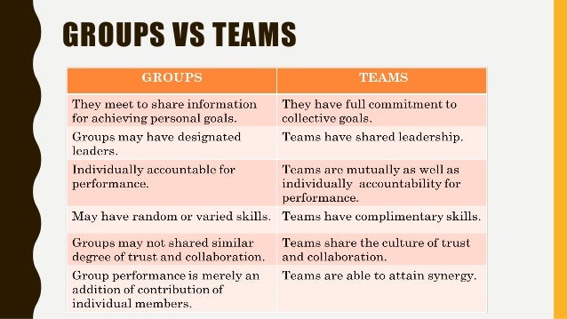 Understanding Team Member Types For A High Performance Team