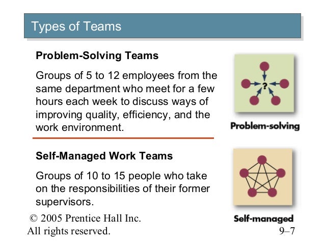 Understanding Team Member Types For A High Performance Team