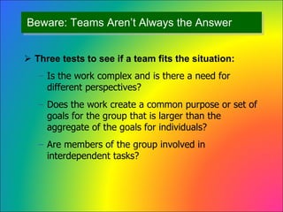 Understanding Work Teams rev1 | PPT