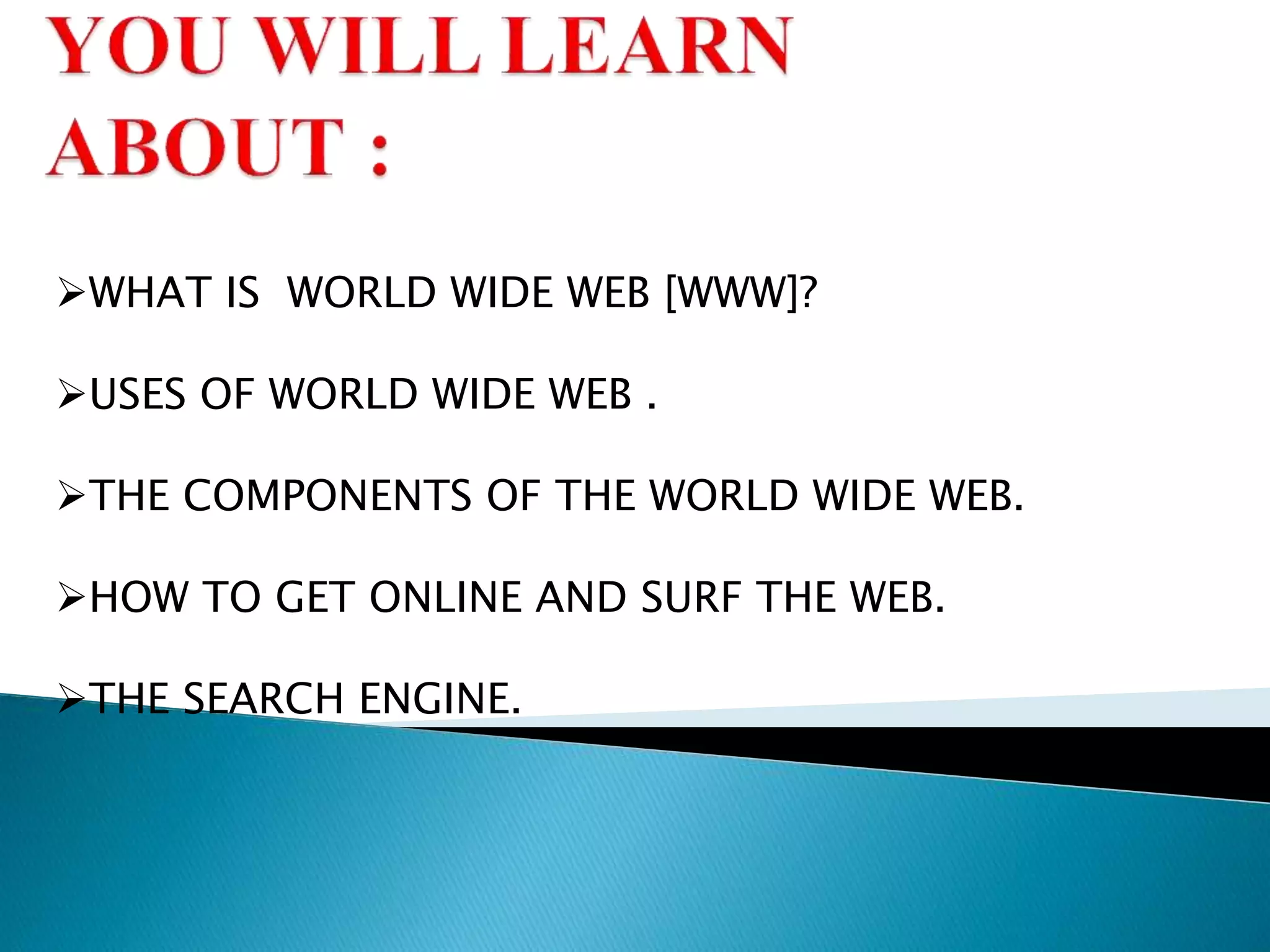 Understanding world wide web and the internet | PPTX