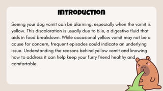 Understanding Yellow Vomit in Dogs Causes and Remedies.pdf