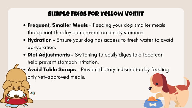 Understanding Yellow Vomit in Dogs Causes and Remedies.pdf