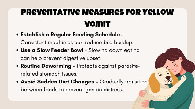 Understanding Yellow Vomit in Dogs Causes and Remedies.pdf