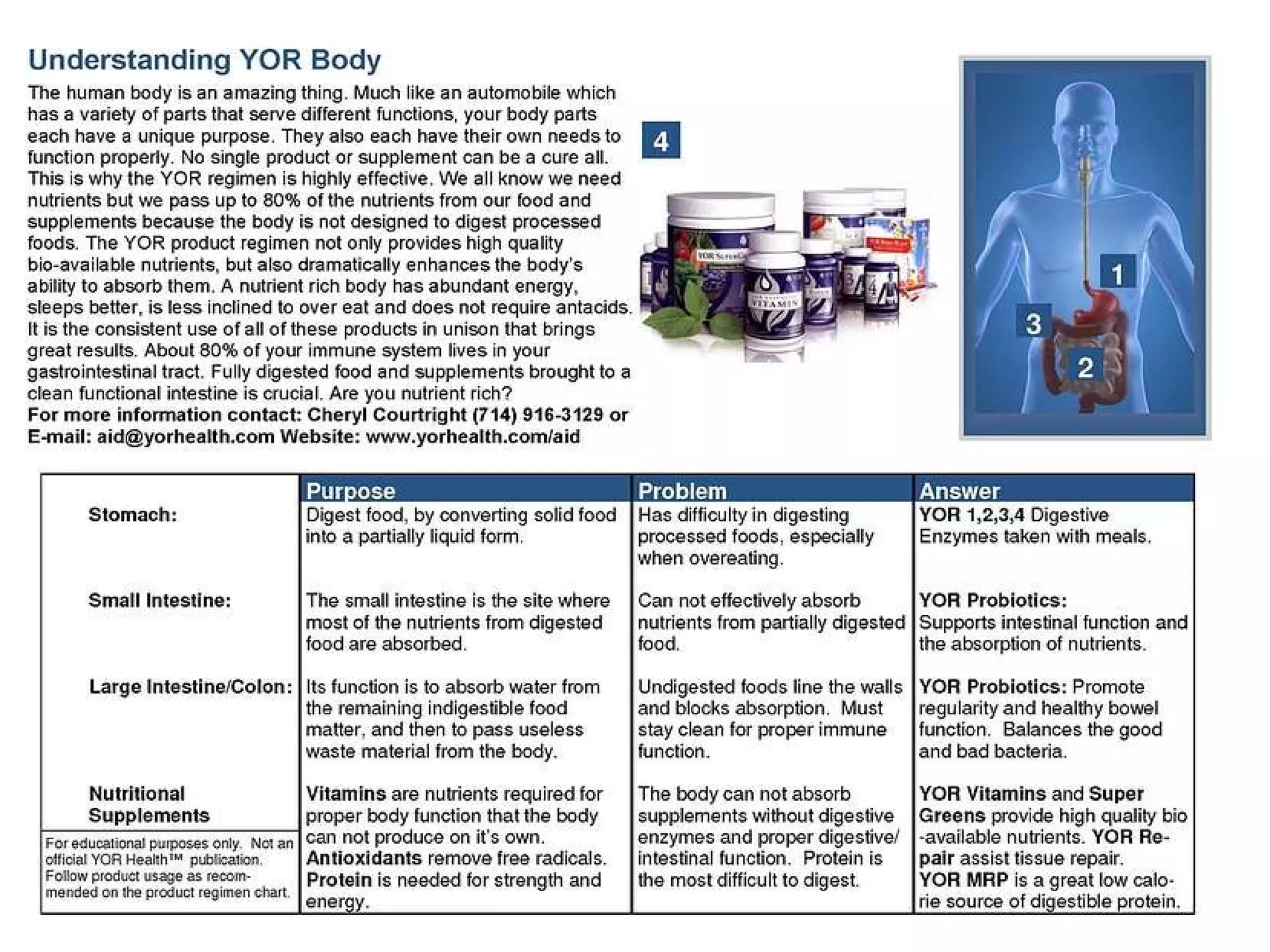 Understanding Yor Body | PPT