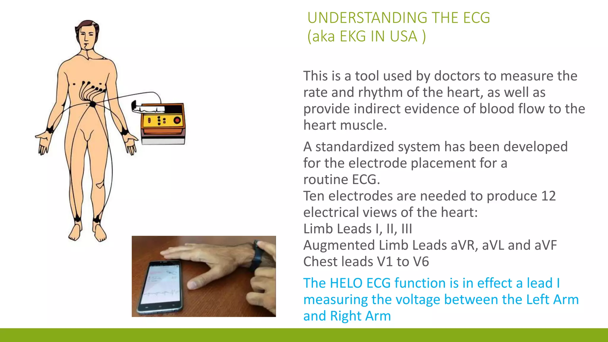 Understanding your heart health with your helo | PPTX