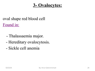 Understand RBCs morphology and inclusion bodies.ppt
