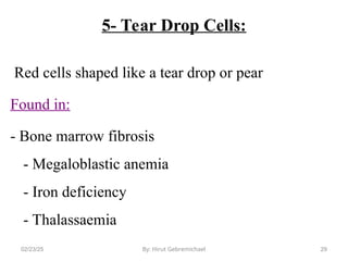 Understand RBCs morphology and inclusion bodies.ppt