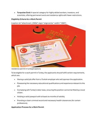 Understand The Work Permit Process in Turkey In 2025.pdf