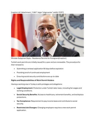 Understand The Work Permit Process in Turkey In 2025.pdf