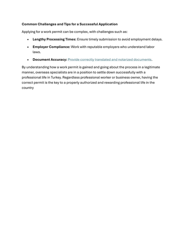 Understand The Work Permit Process in Turkey In 2025.pdf