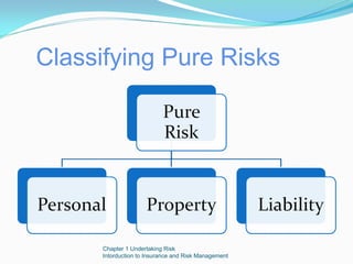 Understaning Risk | PDF