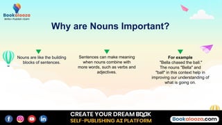 Understanding Nouns | PPTX