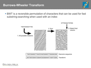 Under the Hood of Alignment Algorithms for NGS Researchers | PPT