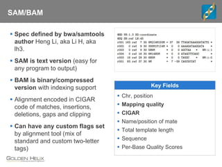 Under the Hood of Alignment Algorithms for NGS Researchers | PPTX | Programming Languages ...