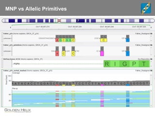 Under the Hood of Alignment Algorithms for NGS Researchers | PPT