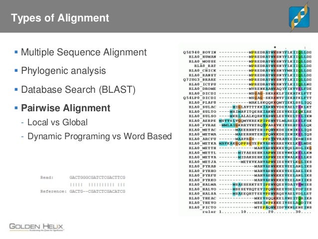 Under the Hood of Alignment Algorithms for NGS Researchers