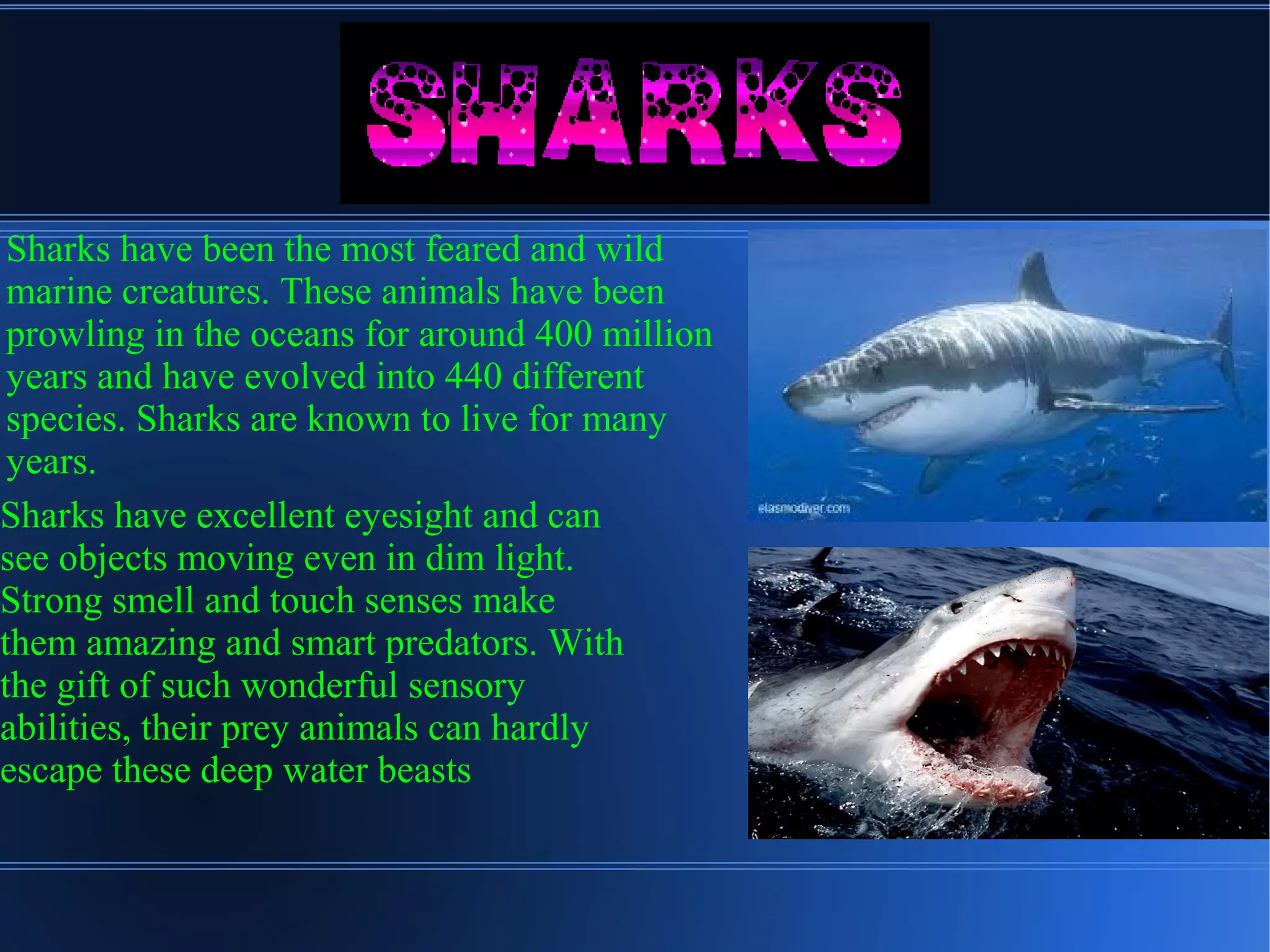 Under the sea | ODP | Zoos & Aquariums | Attractions