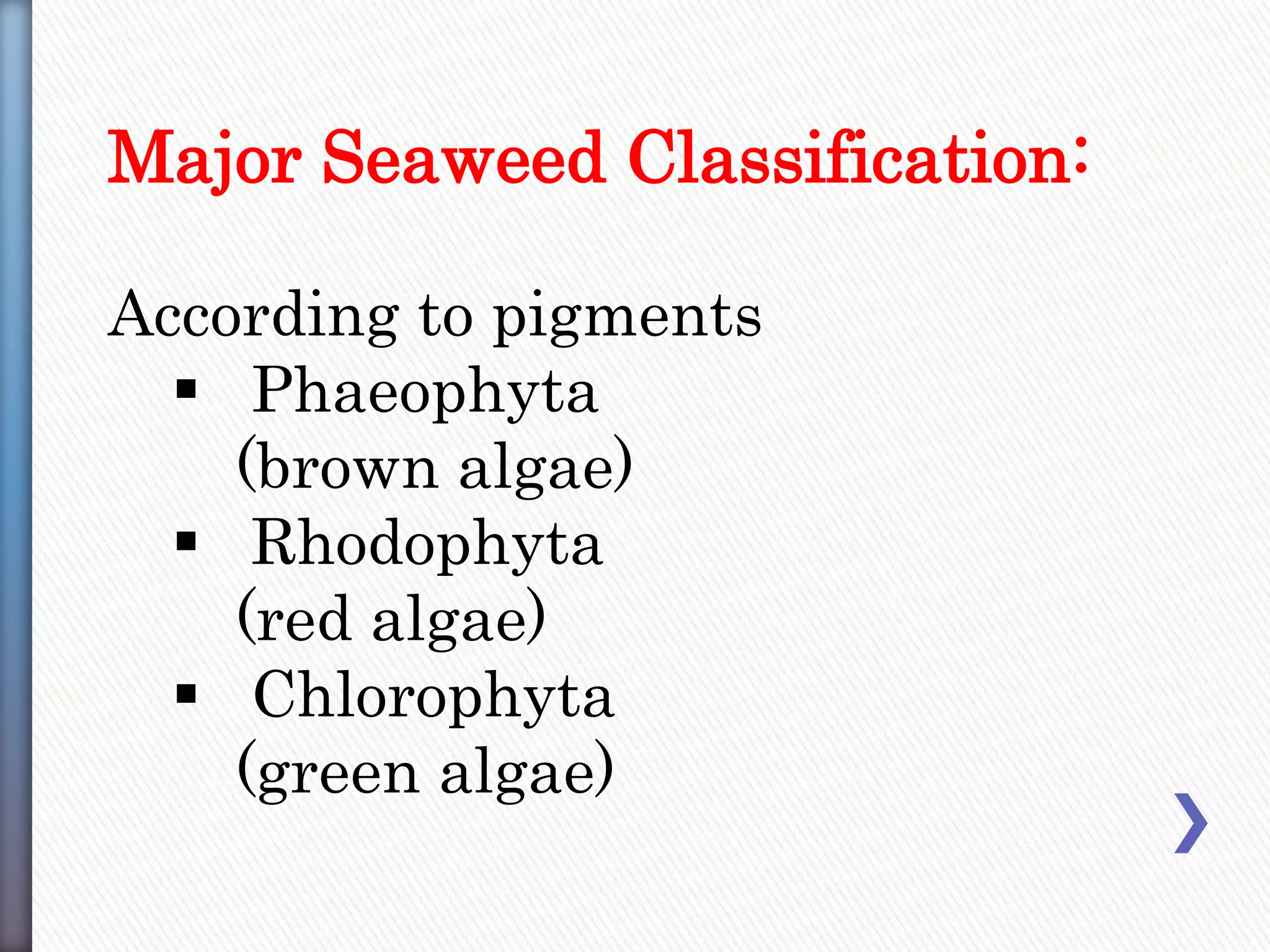 Seaweed Faming | PPTX