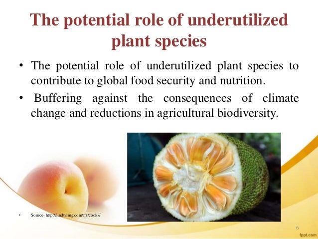 Underutilized fruit crops Underutilized fruit crops