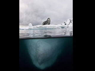 Underwater | PPSX | Scuba Diving | Extreme Sports