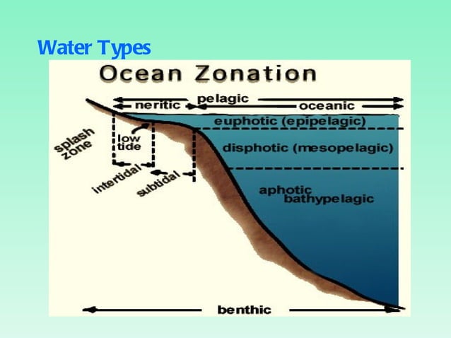 Under water communication ppt | PPT | Computer Networking | Computing