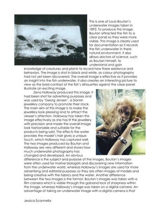 Underwater Photography | DOCX