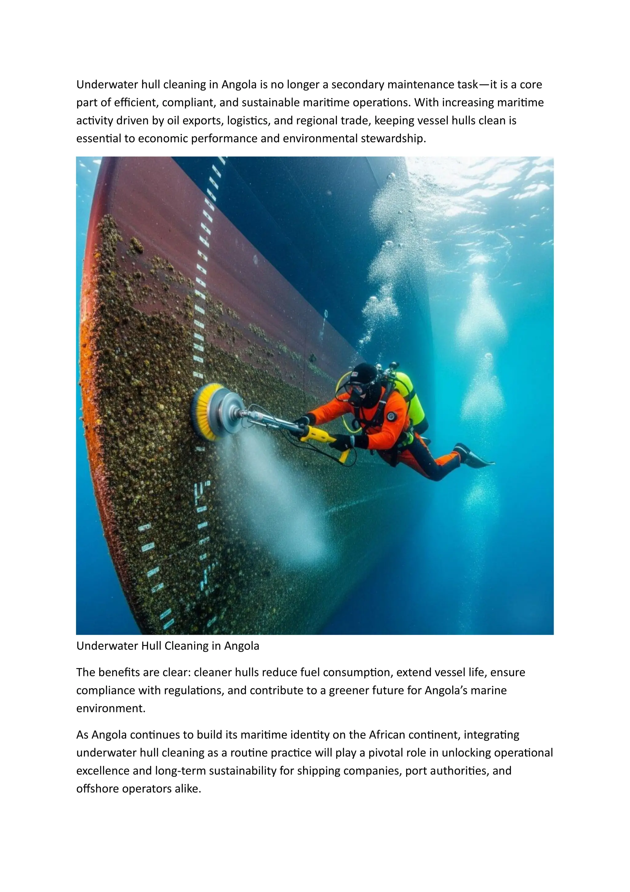 Underwater Hull Cleaning in Angola .pdf