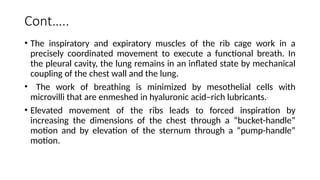 Surgical anatomy, chest mechanics and Underwater seal mechanics | PPTX