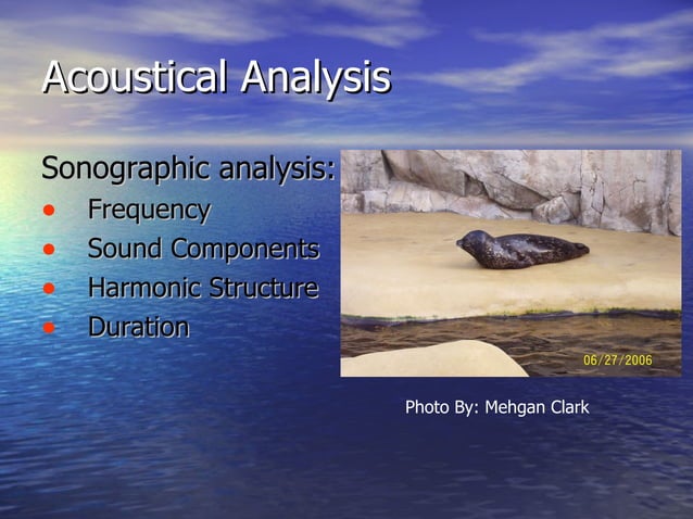 Underwater Vocalizations Of Harbor Seals | PPT