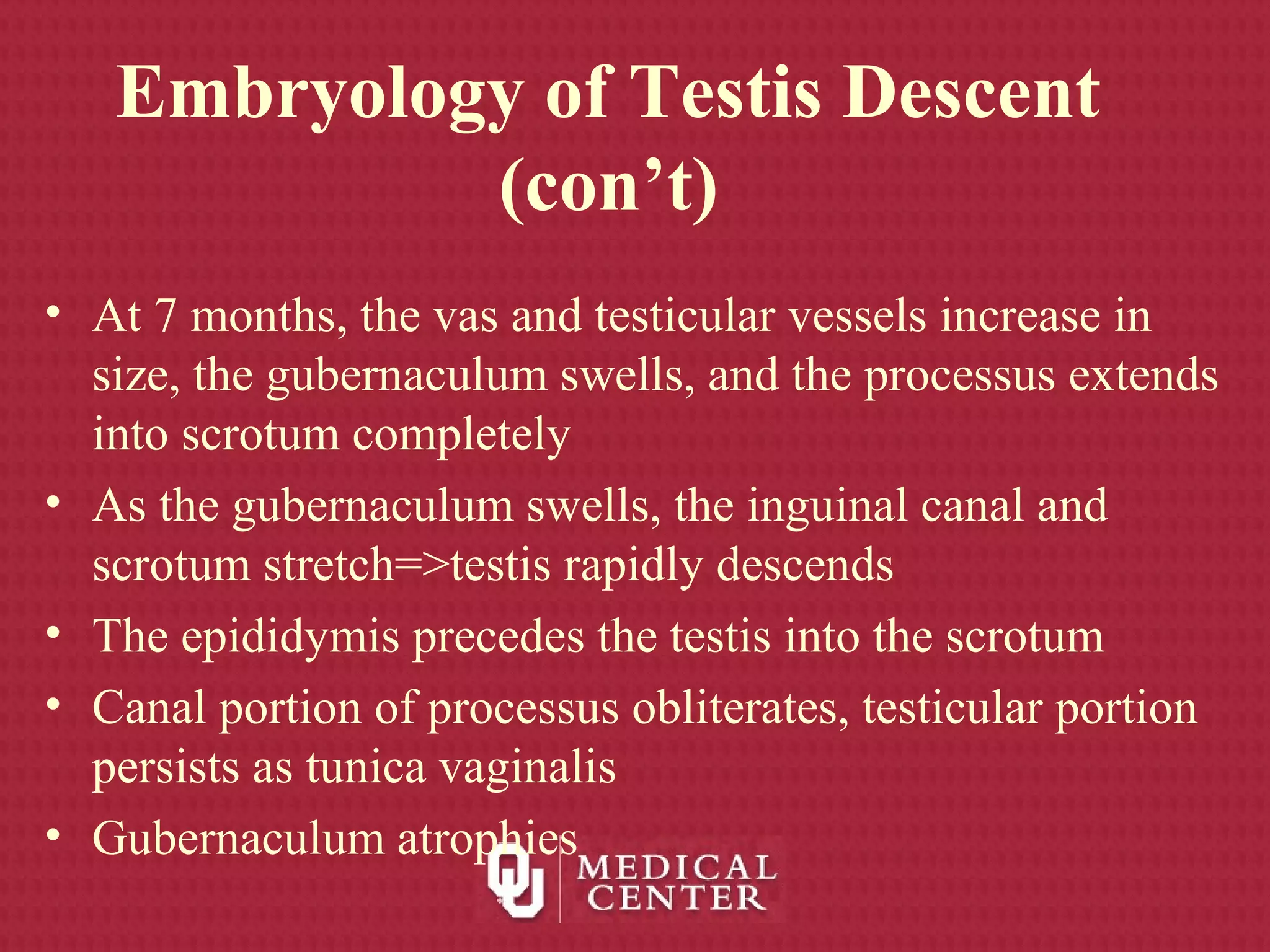 Undescended testicle | PPT