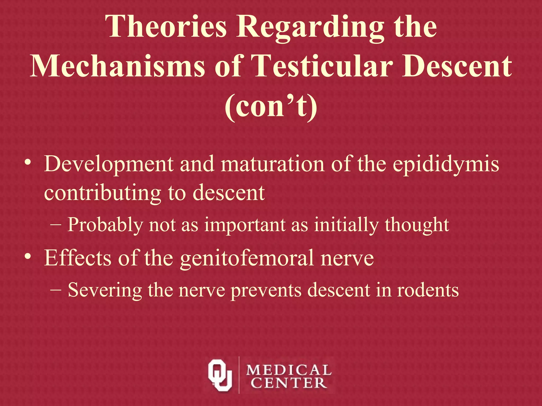 Undescended testicle | PPT