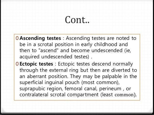 Undescended testes