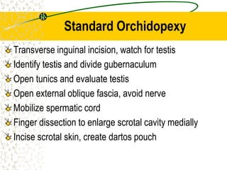 evaluation of Undescended testes | PPTX