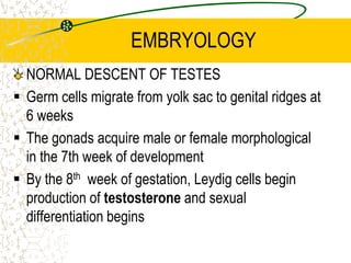evaluation of Undescended testes | PPTX