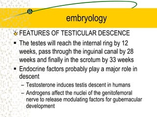 evaluation of Undescended testes | PPTX