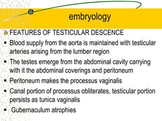 evaluation of Undescended testes | PPTX