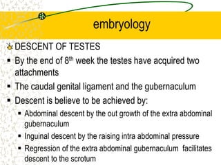 evaluation of Undescended testes | PPT