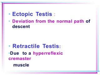 undescended testes.pptx