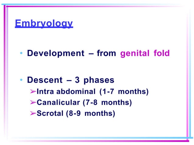 undescended testes.pptx