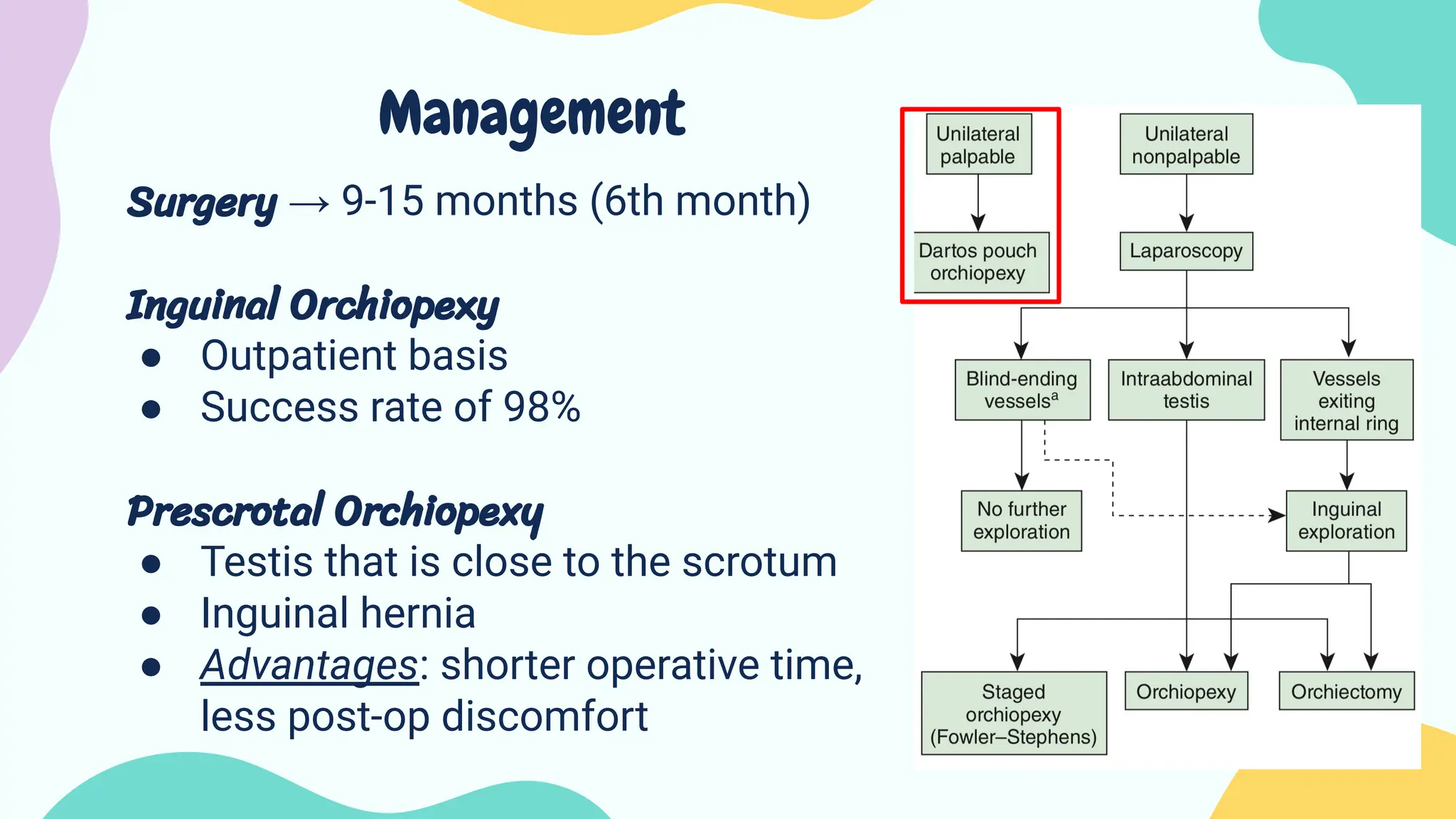 Undescended Testes, Hydrocele, Testicular Torsion.pdf