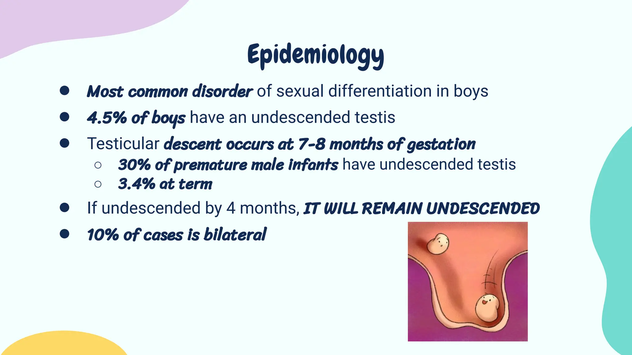 Undescended Testes Hydrocele Testicular Torsion Pdf