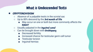 Undescended Testes, Hydrocele, Testicular Torsion.pdf