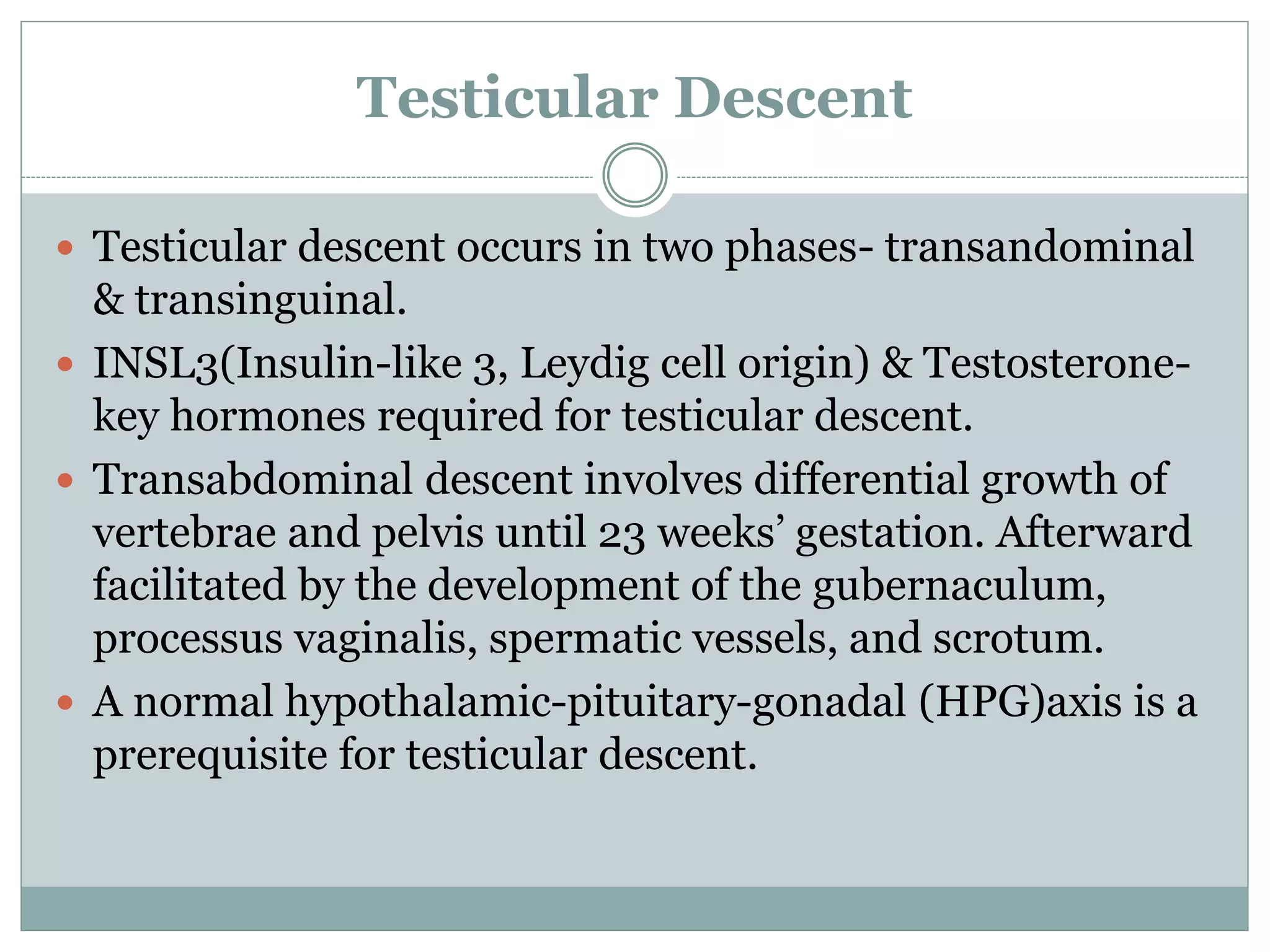 Undescended testis | PPTX