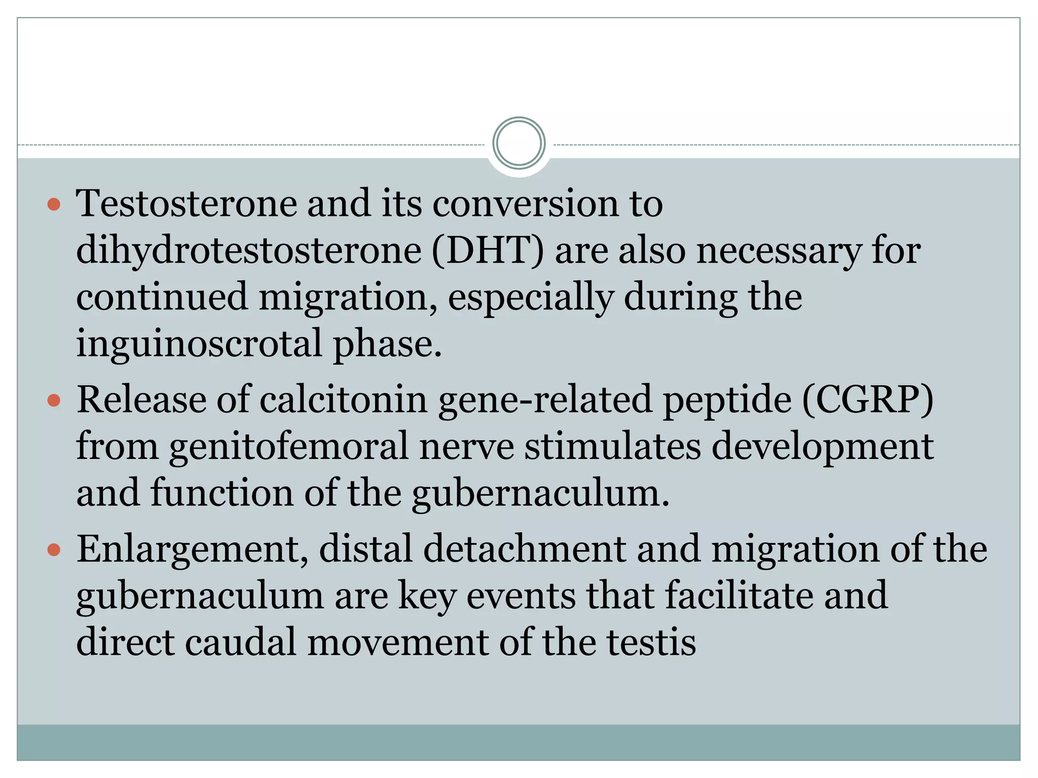 Undescended testis | PPTX