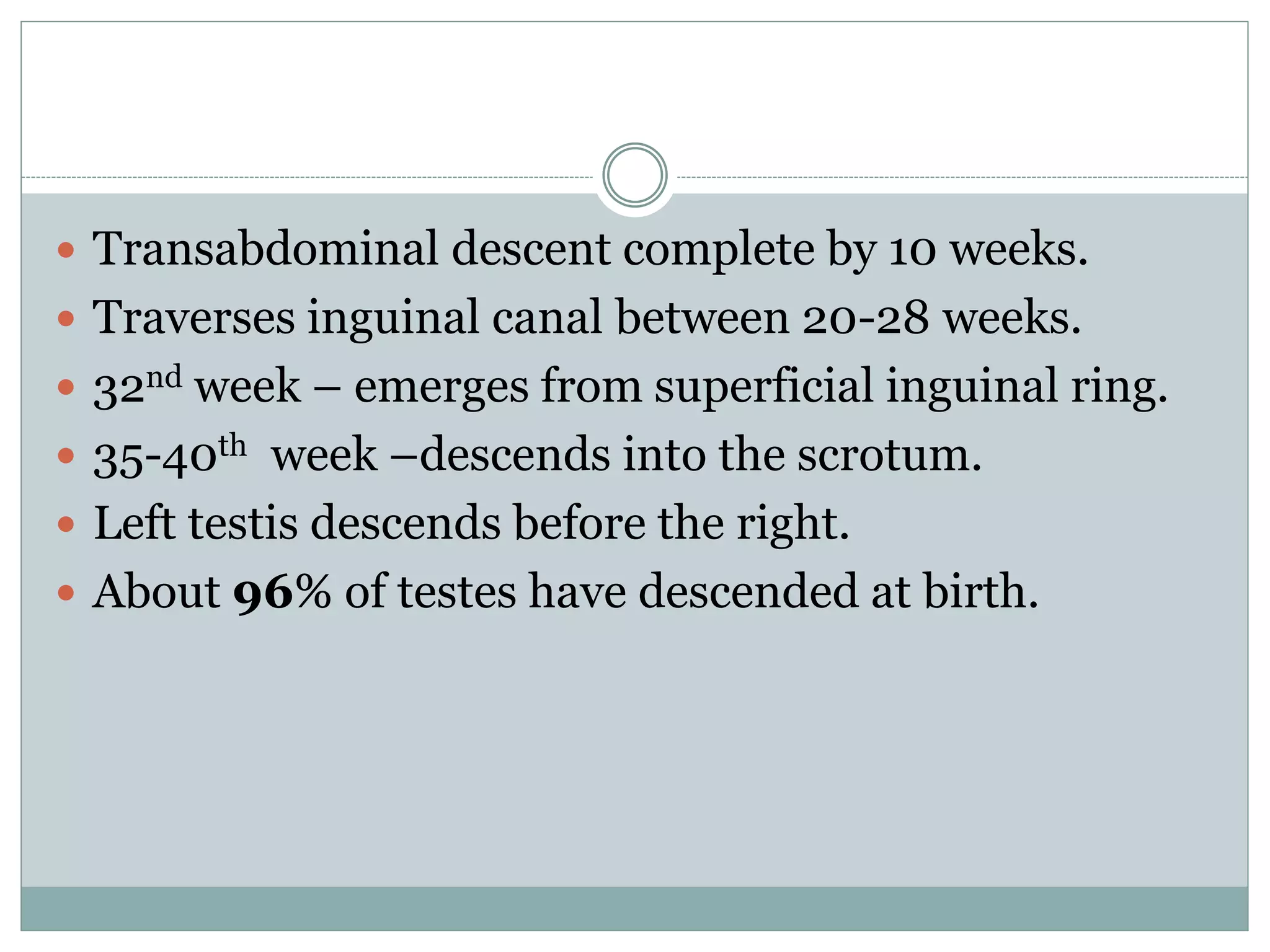 Undescended testis | PPTX