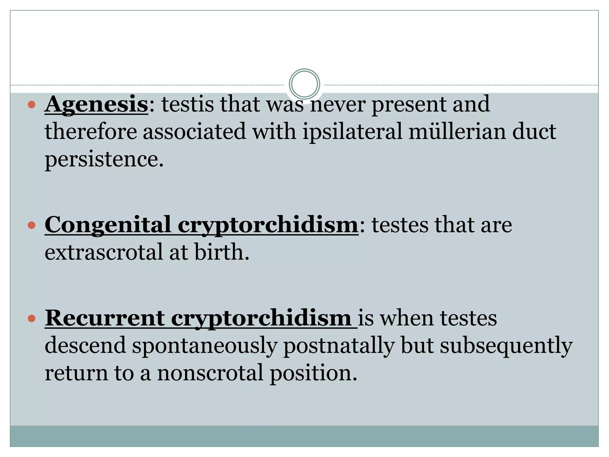 Undescended testis | PPTX